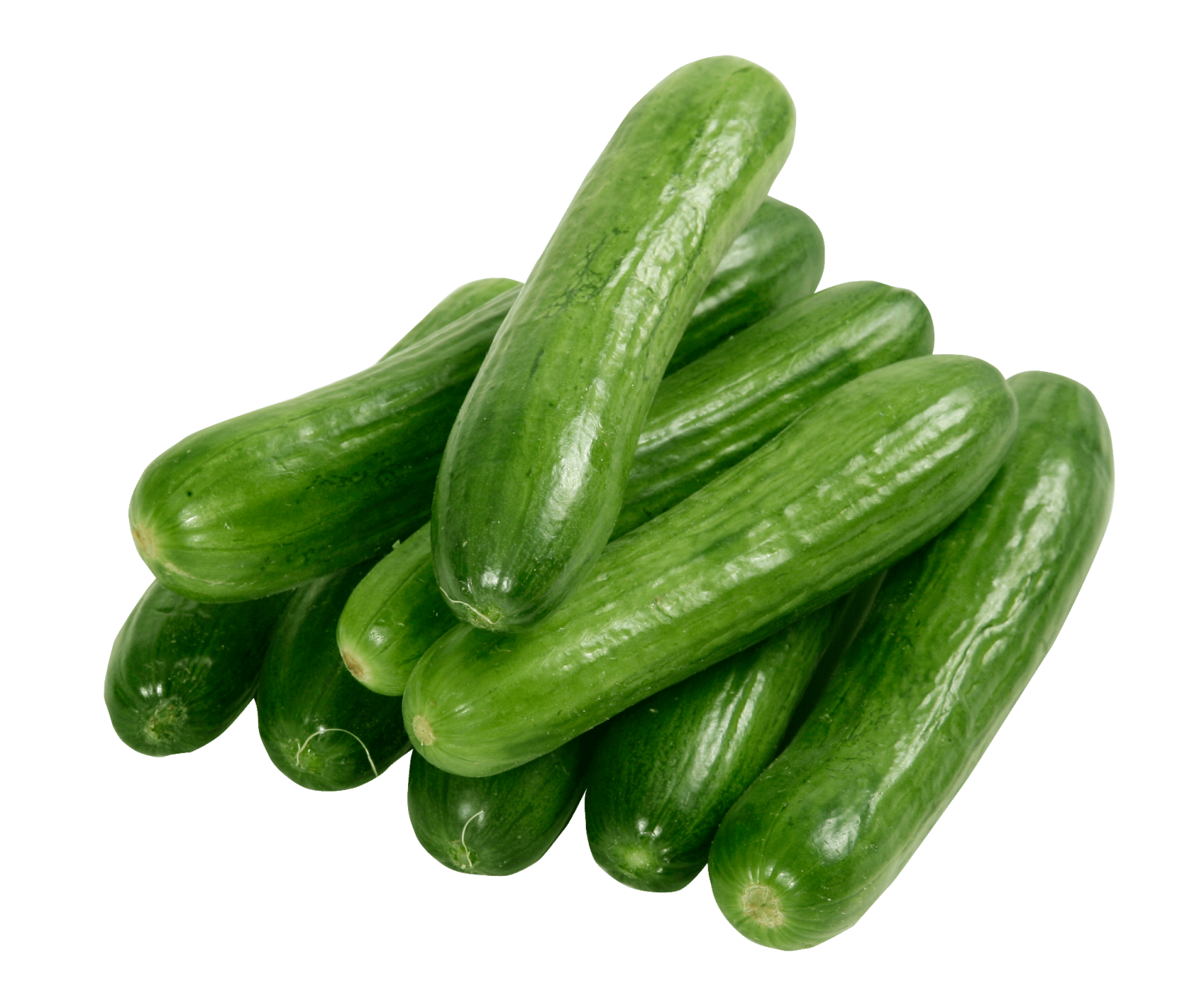 Cultivo del Pepino - Cuidados y Fertilizantes | Fervalle