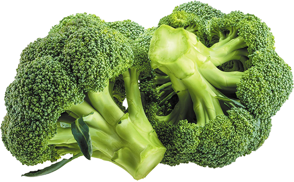 BROCOLI - FERVALLE