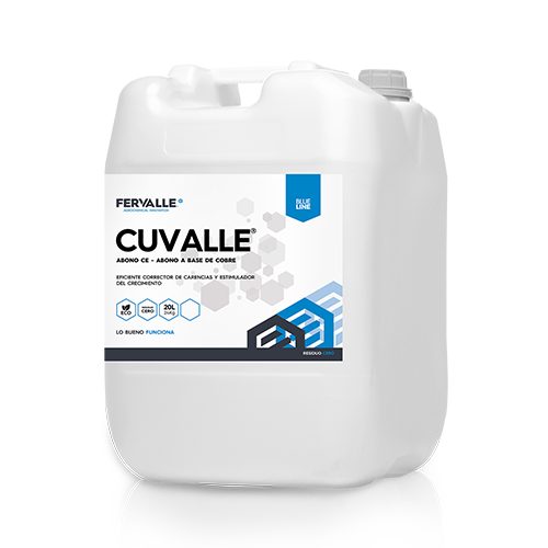 Biodynamic Dealer – FERVALLE